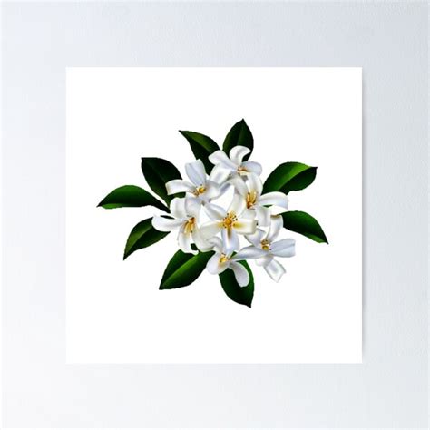 Sampaguita Jusmine White Flower And Green Leaves Seamless Pattern