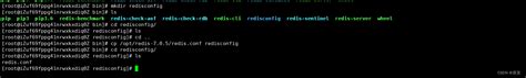 Redis基础——1、linux下安装redis（超详细）linux安装redis Csdn博客