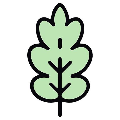 Oak Leaf Design 55462230 Stock Video At Vecteezy