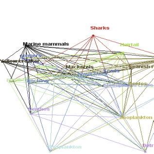Trophic Relationships Of Functional Groups In The ECS Ecosystem Download Scientific Diagram