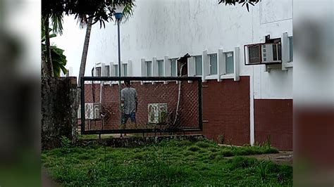 Madre Pide Ayuda Para Su Hijo Que Sufre Una Enfermedad Mental