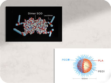 Dds Drug Delivery System Ltt Bio Pharma Coltd