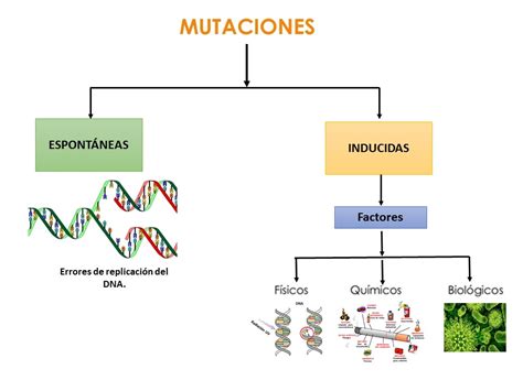 GenÉtica Marzo 2016