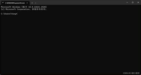 Nodejs与vue项目安装与运行教程 Csdn博客