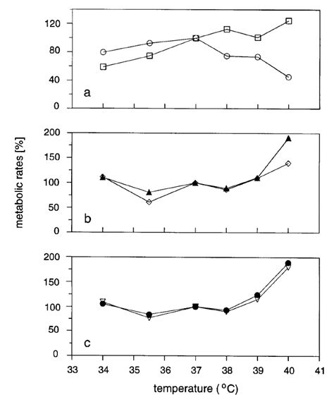 Steady State Metabolic Rates At Different Temperatures The Metabolic
