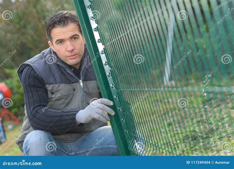 Man Installing A Fencing Stock Photo Image Of Service 117249404