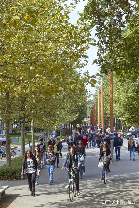Base🇳🇱，经济与法律的摇篮之蒂尔堡大学 知乎