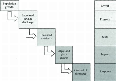 An Example Of The Dpsir Approach After Benedini And Tsakiris 2013