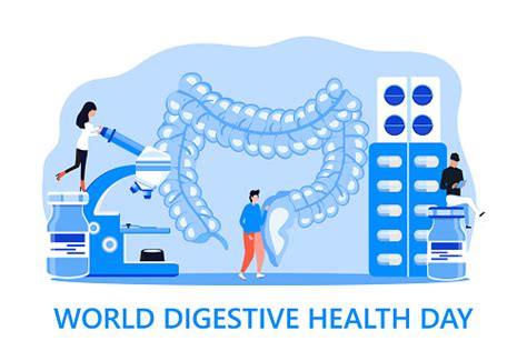 세계 소화의 날은 5월 29일에 열립니다 장 Probiotic 박테리아 유산 균 정보 그래픽 일러스트 벡터 작은 의사는 위장 병을 치료합니다 5월에 대한 스톡 벡터 아트 및