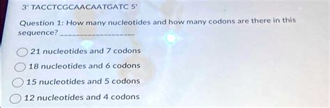 solved 3 tacctcgcaacaatgatc 5 question 1 how many nucleotides and