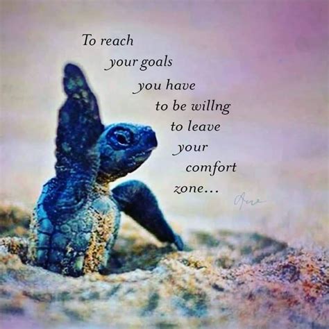Motivational Turtle Quote