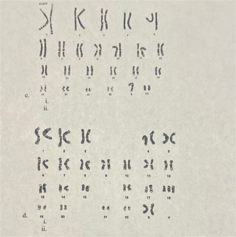 Using The Karyotypes Identify The Sex Of The