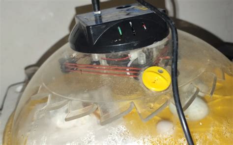 狂风暴雨停电了没信号停更 MK的鹦鹉 MK的鹦鹉 哔哩哔哩视频