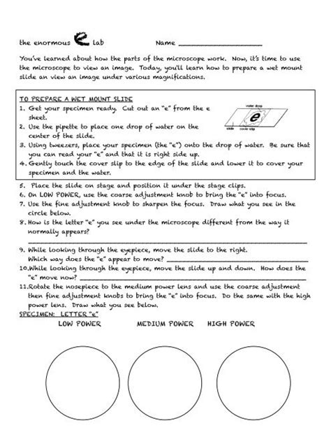 Microscope Lab Letter E