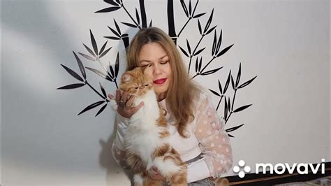 Конкурс красоты Cat Sex Show на выставке кошек он лайн Афина Экзот Кэтрин And Наталья ноябрь