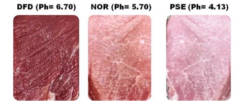 Test Samples Of Dfd Nor And Pse Pork Download Scientific Diagram
