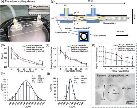 Fabrication Of Coreshell Alginate Hydrogel Microcapsules A An