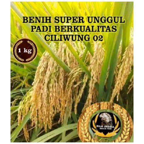 Jual Benih Bibit Padi Super Unggul Ciliwung Kemasan Kg Shopee Indonesia