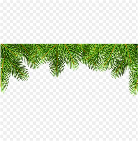 Pine Branches Top Border PNG Images 41052 TOPpng