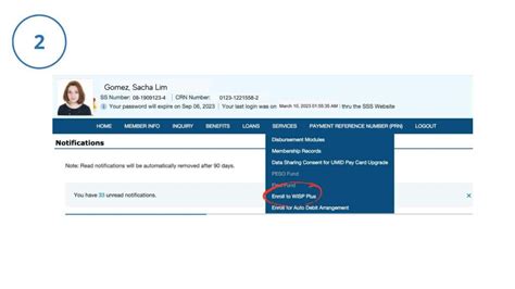 How To Invest In SSS WISP Plus Benefits And Earnings