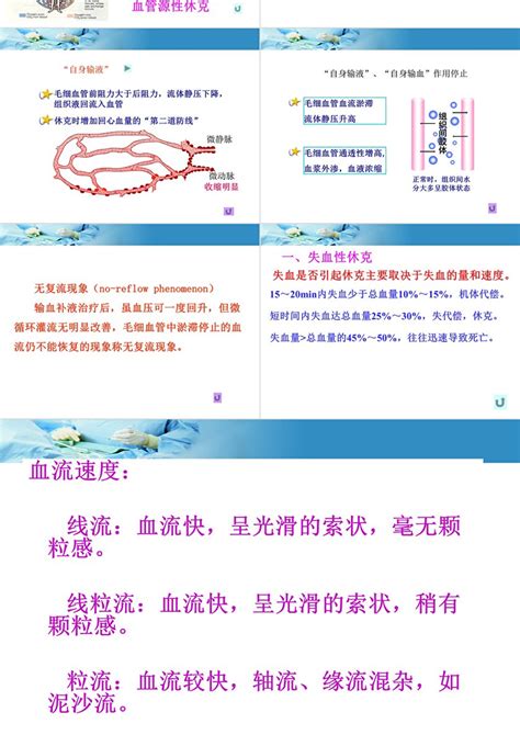 病理生理休克ppt模板 卡卡办公