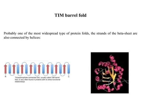 Bt631 6 Structural Motifs Pdf Programming Languages Computing