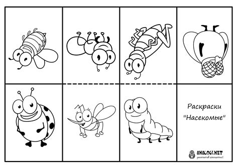 Маленькие раскраски Аналогий нет
