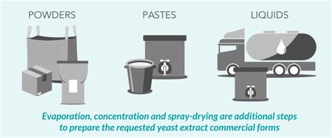 A Completely Guide To Yeast Extract Hiyeast