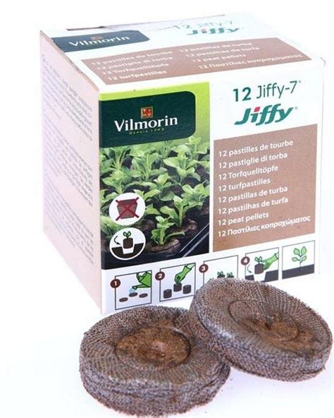 Выращивание земляники из семян в домашних условиях