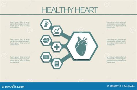 Healthy Heart Infographic For Use On Banners Stock Vector
