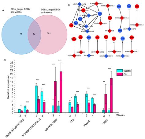 Comprehensive Analysis Of Long Non Coding Rnas And Mrnas In Skeletal Muscle Of Diabetic Goto
