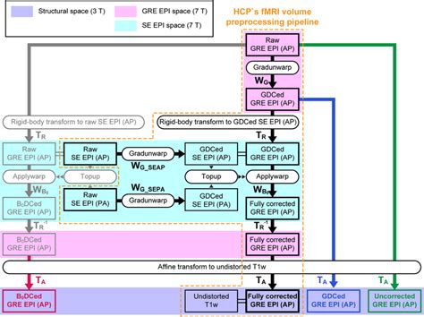 Flow Chart Of The Human Connectome Project Hcp Pipeline And Its Download Scientific Diagram