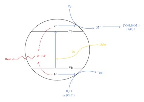 Schematic Diagram Illustrating The Mechanism Of Photocatalysis On TiO Download Scientific