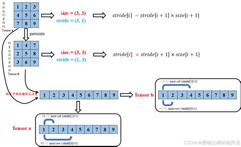 【pytorch】torchview与torchreshape的区别torch View Csdn博客