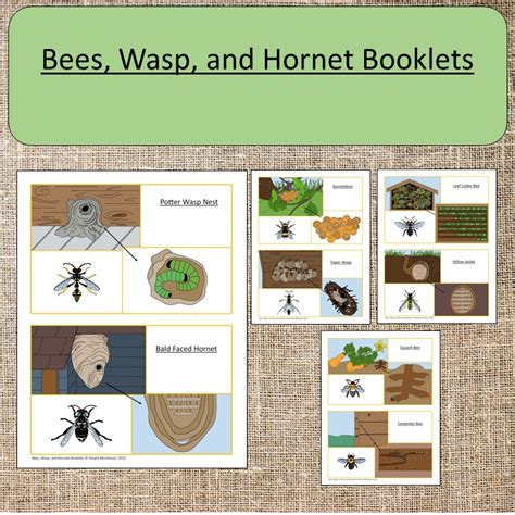 Elementary Bees Wasp And Hornet Booklets Montessori Homeschool