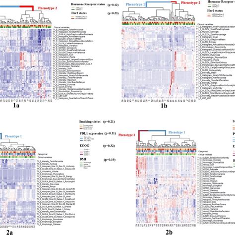 Heatmap Of Radiomic Derived Features Created Using R Programing