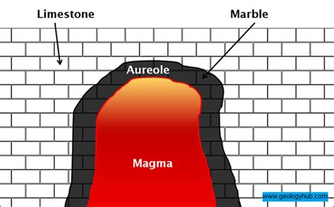 Types Of Metamorphism 9 Examples