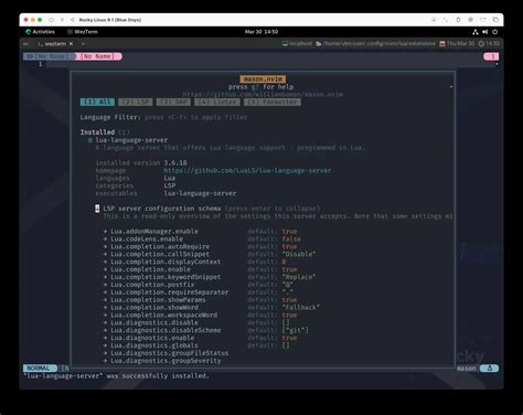 Masonnvim Commentary Of Dotfiles