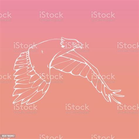 손으로 그린 연필 그래픽 독수리 독수리 Osprey 팔 콘 호크 새 프레데터 갈고리 발톱에 대한 스톡 벡터 아트 및 기타 이미지 갈고리 발톱 공포 무서움 깃털