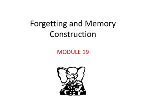 Forgetting And Memory Construction Psychology Presentation