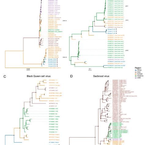 Phylogenies Of Known Honey Bee Viruses Deformed Wing Virus A Lake Download Scientific
