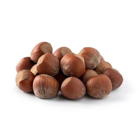 Hazelnut Shell