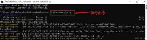 使用开源项目并使用docker的方式搭建代理接口docker搭建代理池 Csdn博客