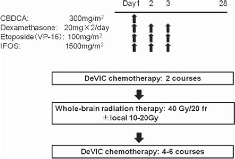 Schema Of Devic Chemotherapy Protocol Download Scientific Diagram