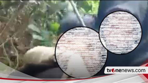 Tak Hanya Berbuat Mesum Di Siang Bolong Selama Ramadhan Dua Pelajar Sma Di Pacitan Ini Sengaja