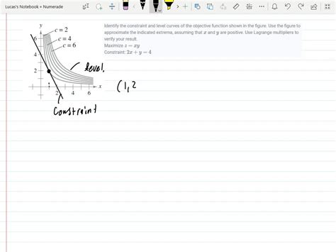 solved identify the constraint and level curves of the objective