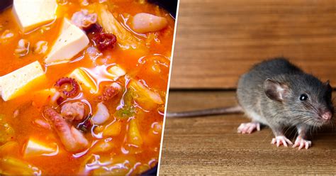 Rat Soup Nyc Restaurant Sued Over Alleged Rodent In Dish