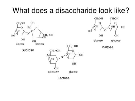 Ppt Introduction To Biochemistry Powerpoint Presentation Free