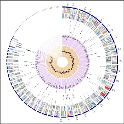 Figure 2 From Complete Genome Sequence Analysis Of The Multidrug Resistant Aeromonas Veronii