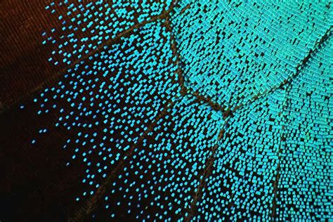 Accessing Perplexity Online Llms Programmatically Via Api